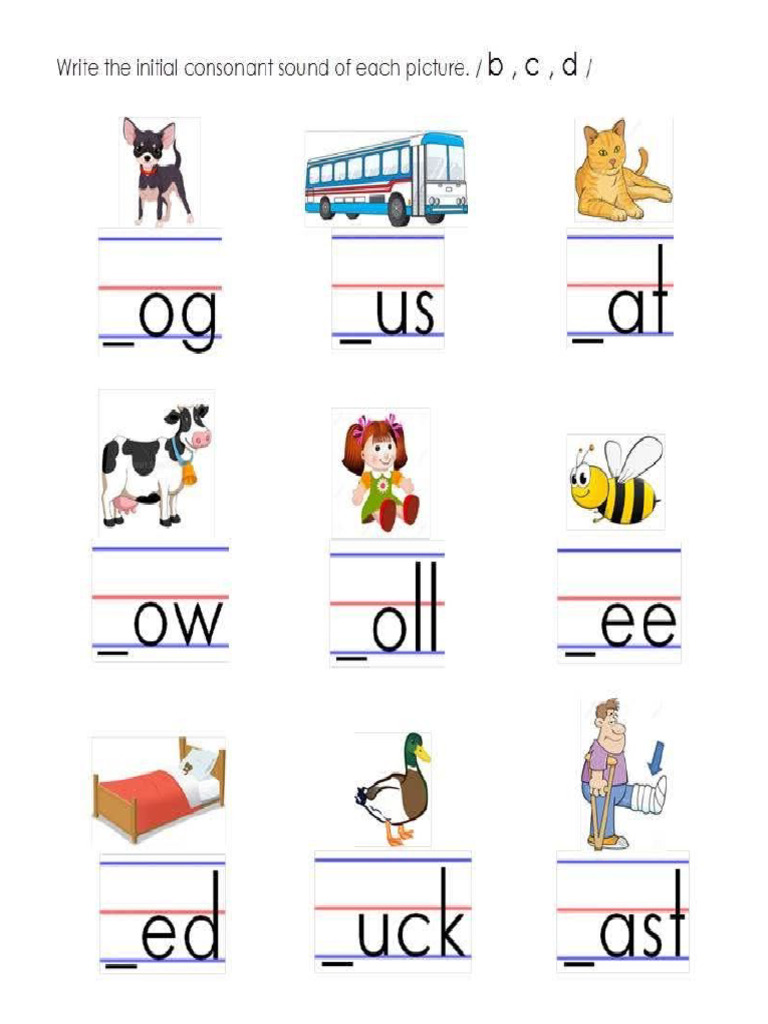 CVC With D | PDF
