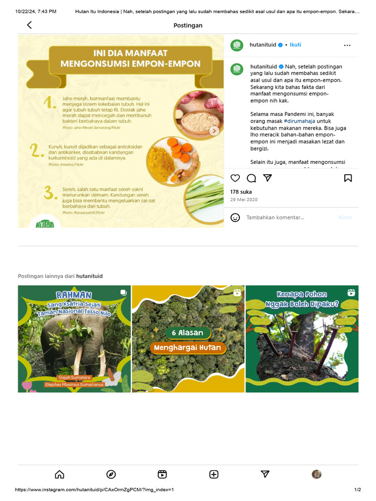 Hutan Itu Indonesia _ Nah, Setelah Postingan Yang Lalu Sudah Membahas ...