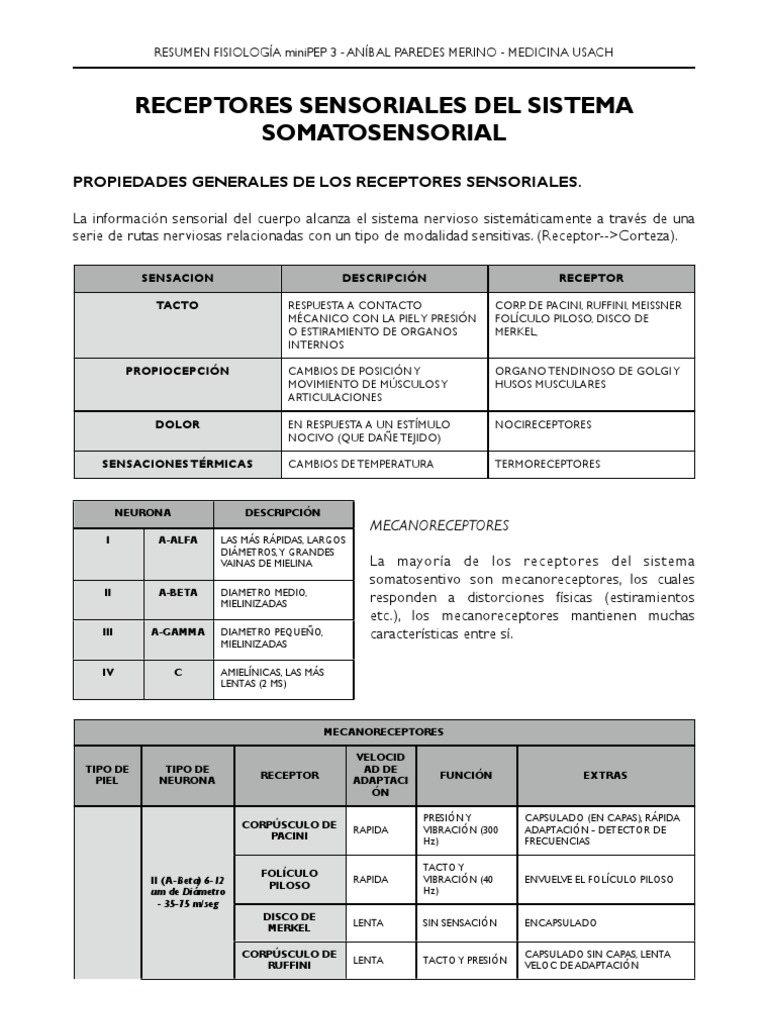 Resumen de Neurofisiología | PDF | Sistema somatosensorial | Percepción visual