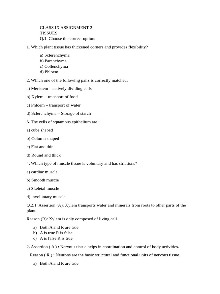 9 Assignment 2 | PDF