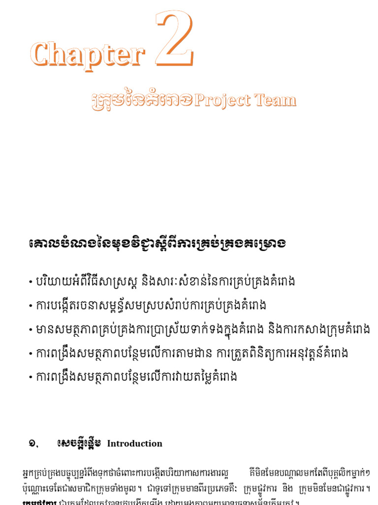 Project Team Development Strategies | PDF