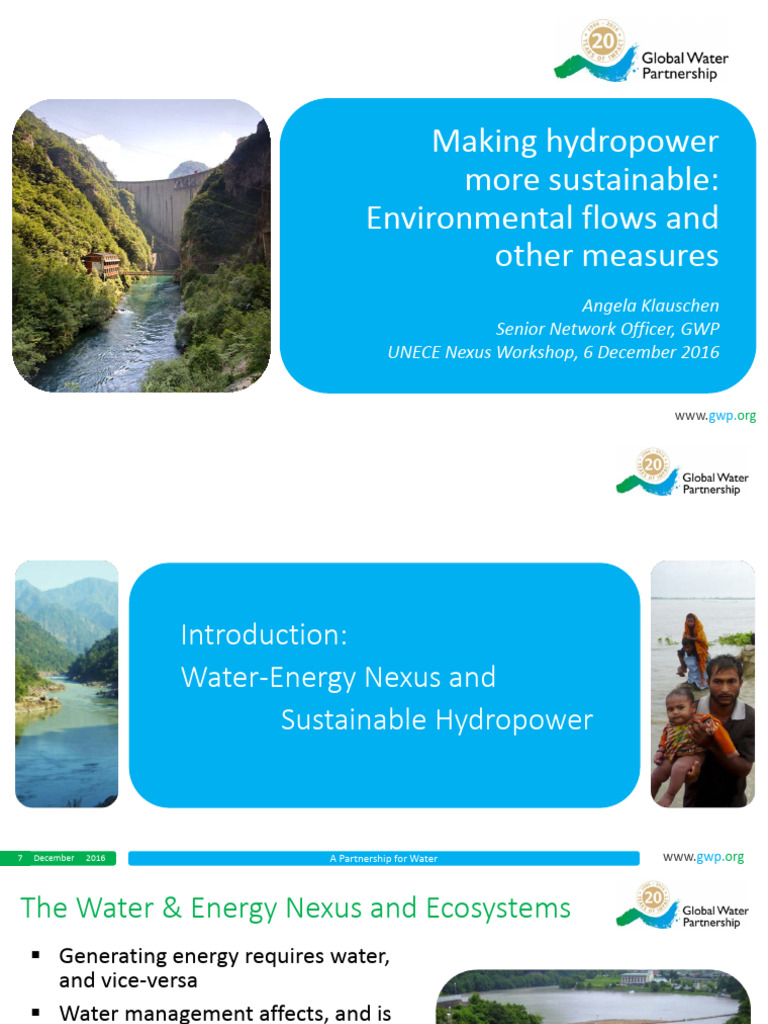 2016 GWP Making Hydropower More Sustainable | PDF | Hydroelectricity ...