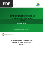 Grade 10 Plant Tissues & Organs Notes | PDF