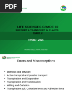 Grade 10 JIT Terms 1&2 Plant Tissues & Organs | PDF