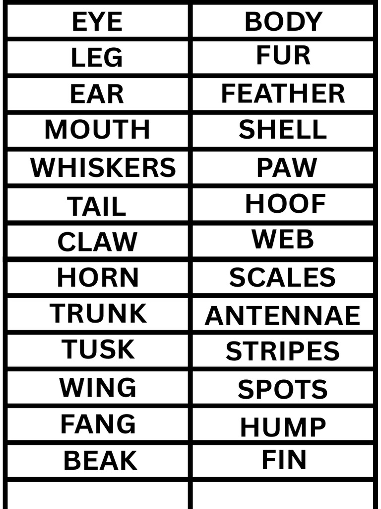 Animal Body Parts and Features | PDF