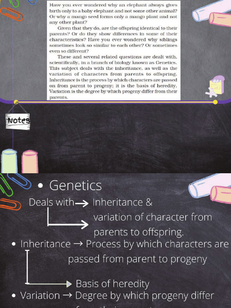 UNIT 2 - Mendelian genetics NCERT+NOTES | PDF | Genetics | Genotype