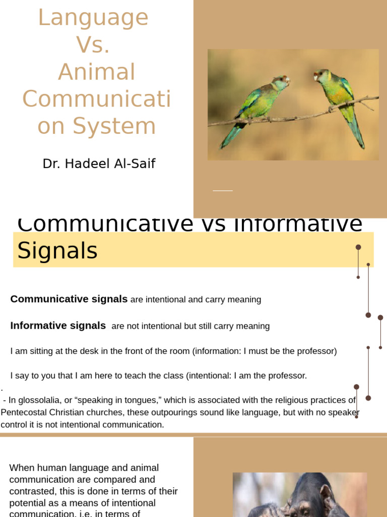 The Animals Language | PDF | Chimpanzee | Communication
