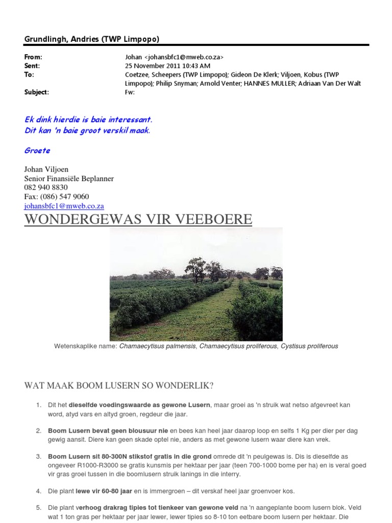 Boom Lusern | PDF