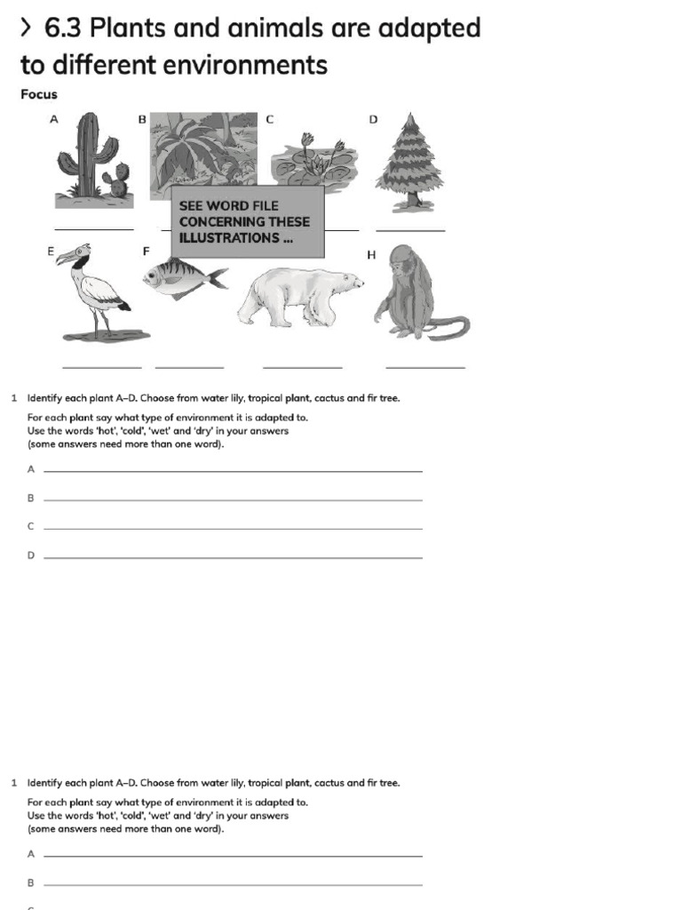 6 3&4 | PDF