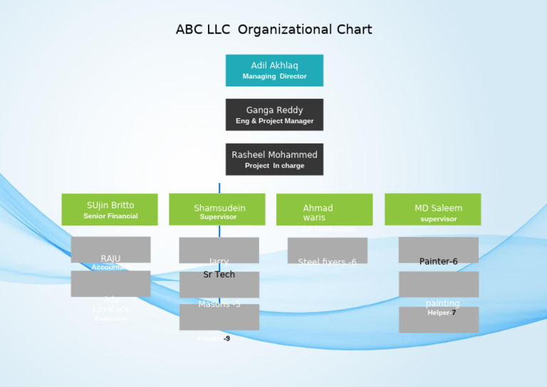 ABC LLC Organizational Structure Overview | PDF