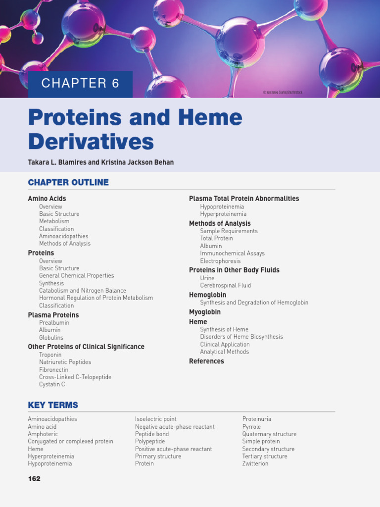 Proteins and Heme Derivatives: Chapter Outline | PDF | Amino Acid ...