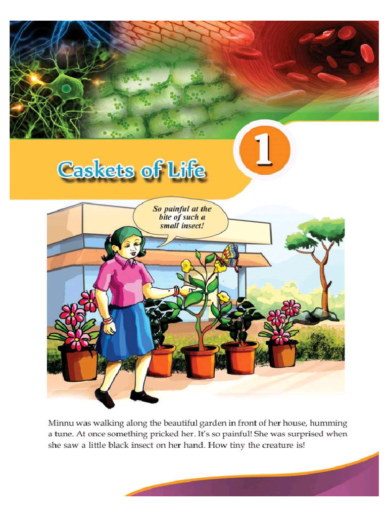 Class 6 Basic Science Chapter 1 | PDF