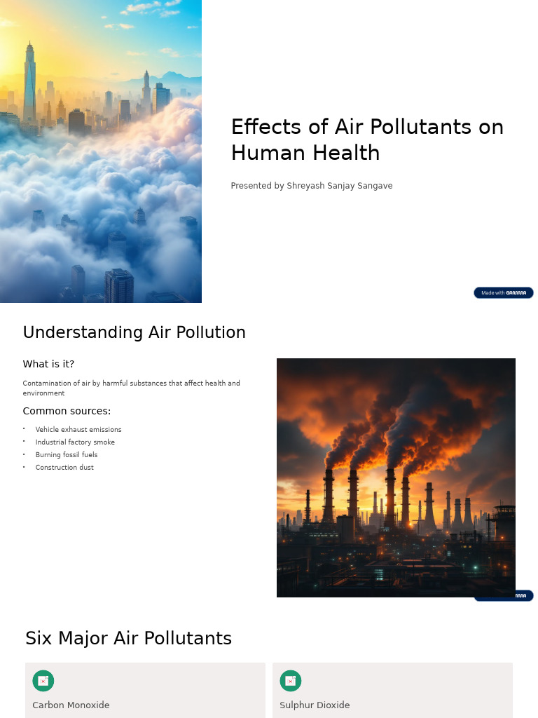 Effects of Air Pollutants On Human Health | PDF