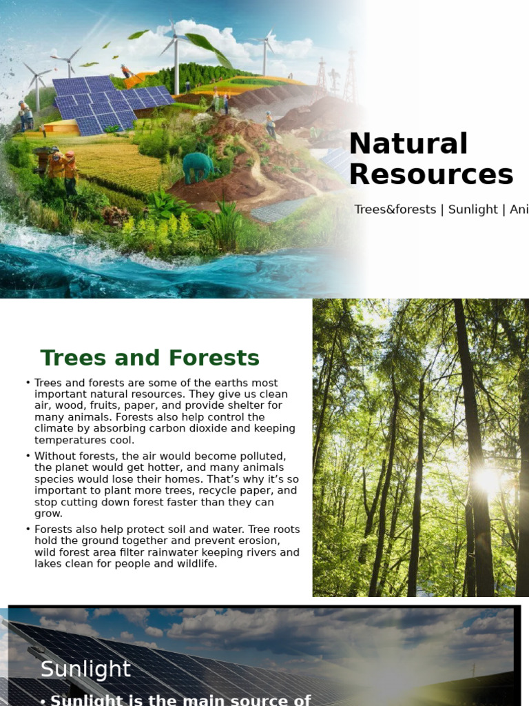 Natural Resources (Geo) | PDF