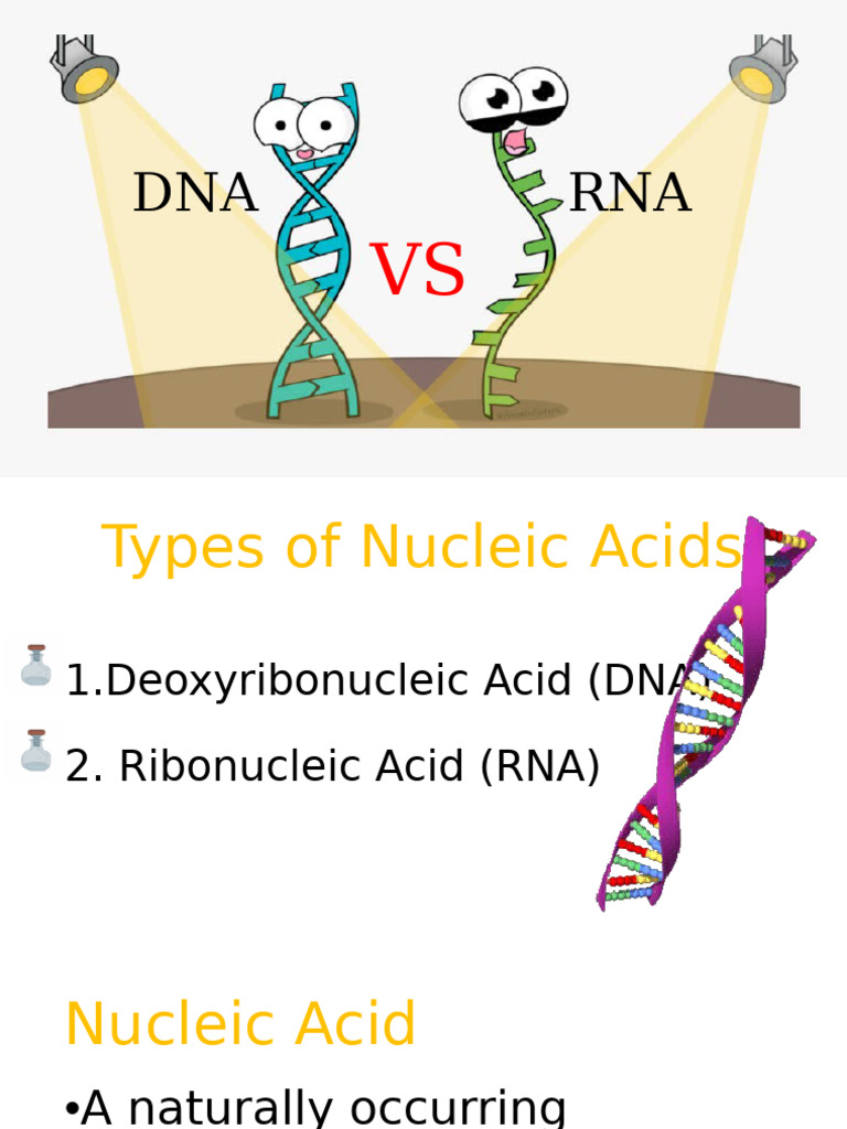 Q3 - W4 DNA Vs RNA | PDF