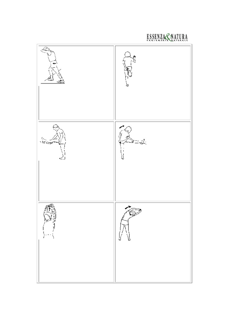 Ejercicios de Elongacion | PDF | Pie | Sistema musculoesquelético
