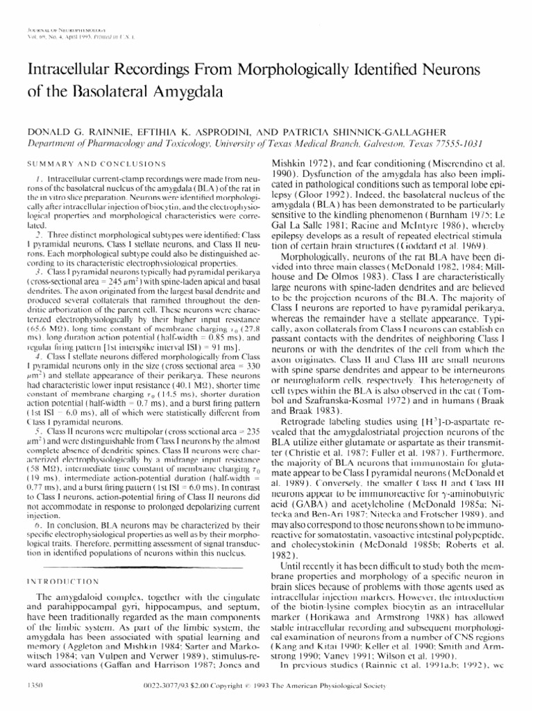 Electrophysiology of BLA Neuron Subtypes | PDF | Pyramidal Cell | Dendrite