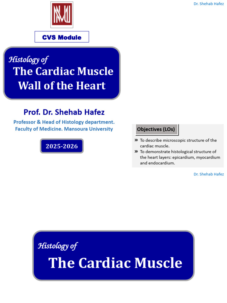 L6 - Histology of The Heart | PDF | Cardiac Muscle | Skeletal Muscle