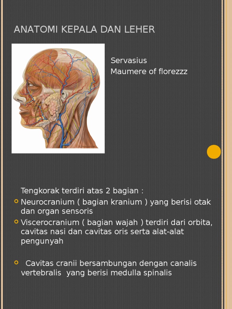 Anatomi Kepala Dan Leher | PDF