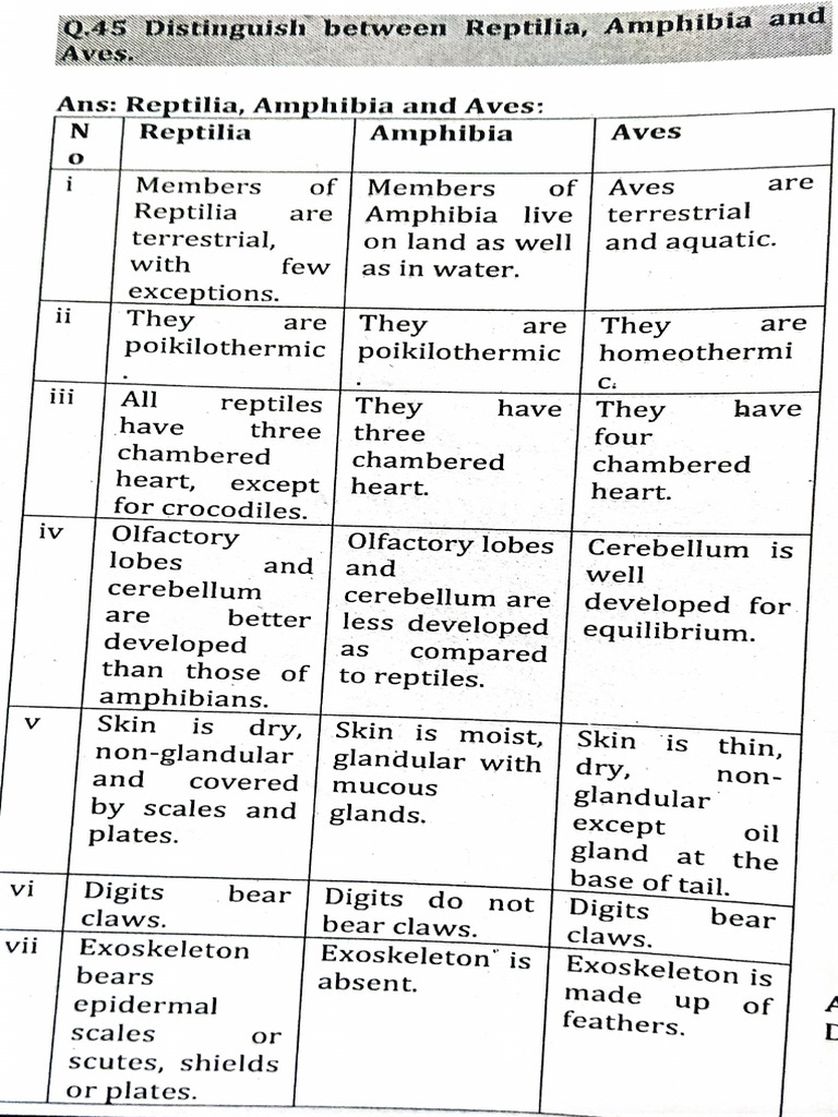 PDFReader 20251108 1448 | PDF