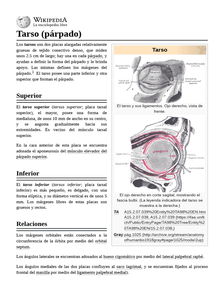 Tarso (Párpado) | PDF