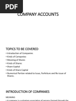Types of Share Capital Explained | PDF | Equity (Finance) | Balance Sheet