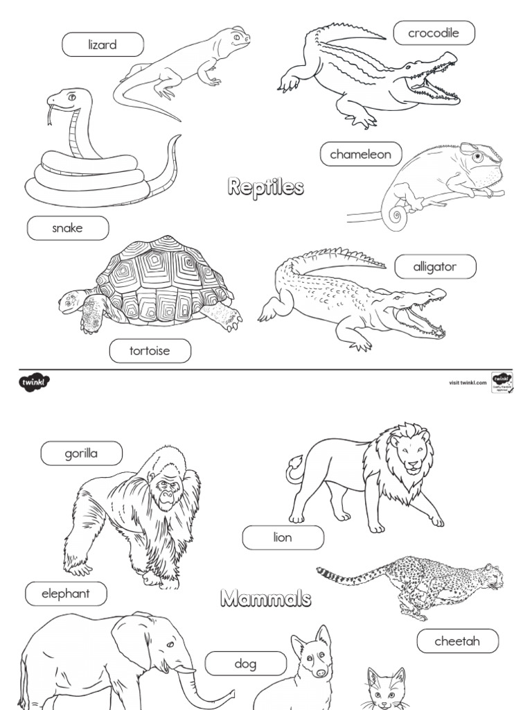 Animal Groups Coloring Sheets Us Ac 1725629516 Ver 1 | PDF