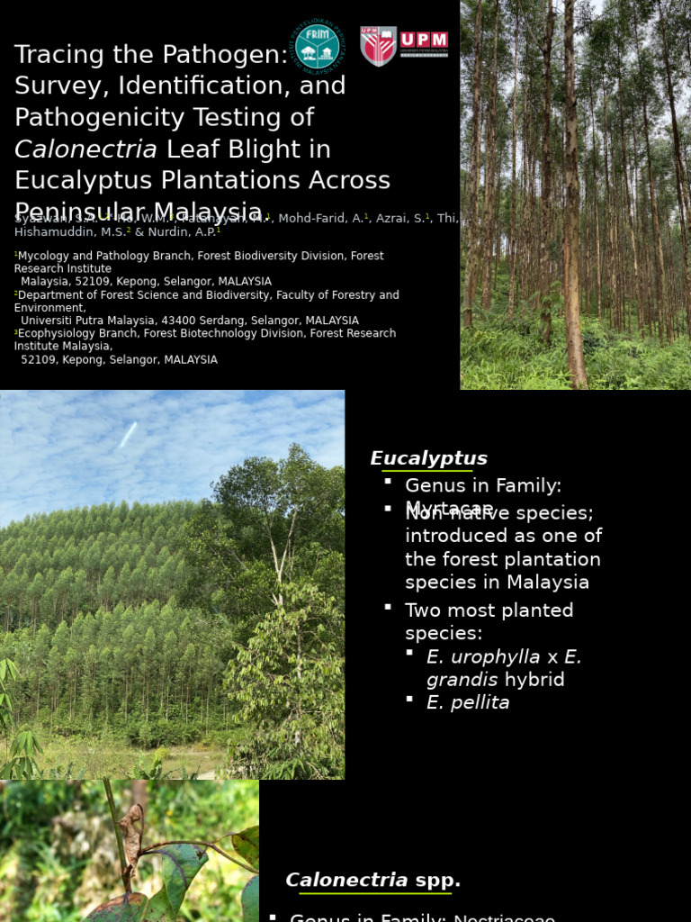 AhmadSyazwan-Calonectria | PDF | Eucalyptus | Organisms