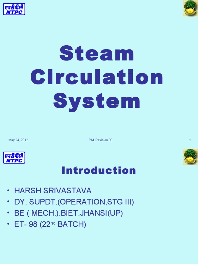 Steam Circulation System | PDF | Boiler | Heat Transfer