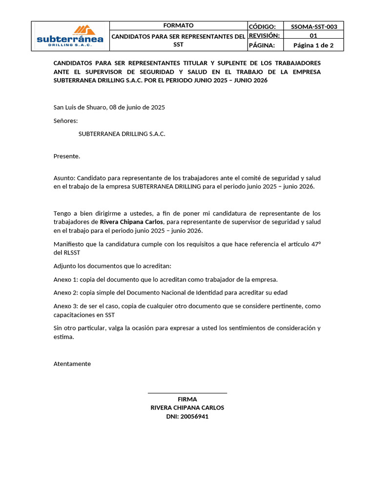 Anexo - Carta para presentación de candidatura | PDF | Autenticación | Control de acceso