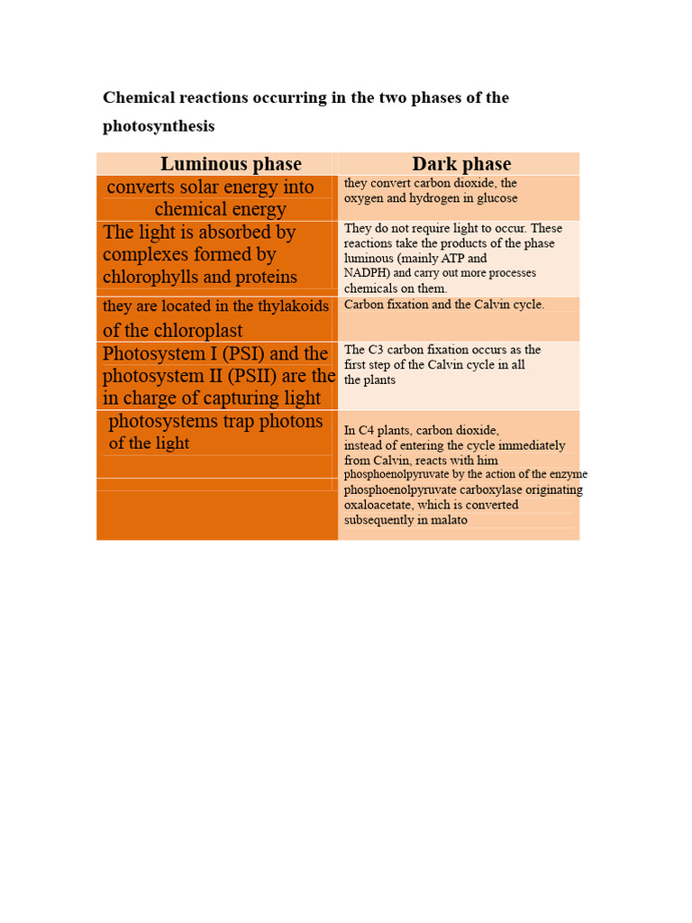 Chemical Reactions Occurring in The Two Phases of | PDF