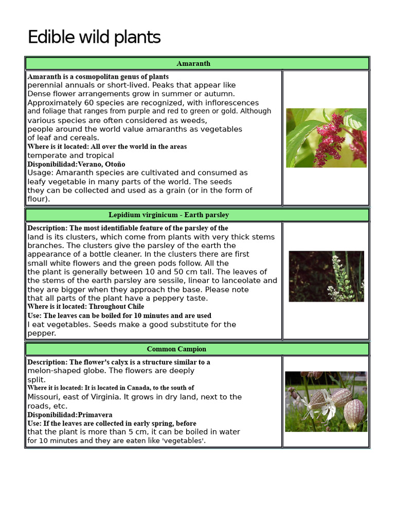 Wild Edible Plants | PDF | Branches Of Botany | Plant Morphology
