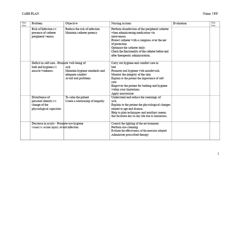 Comprehensive Nursing Care Plan | PDF | Hygiene | Catheter