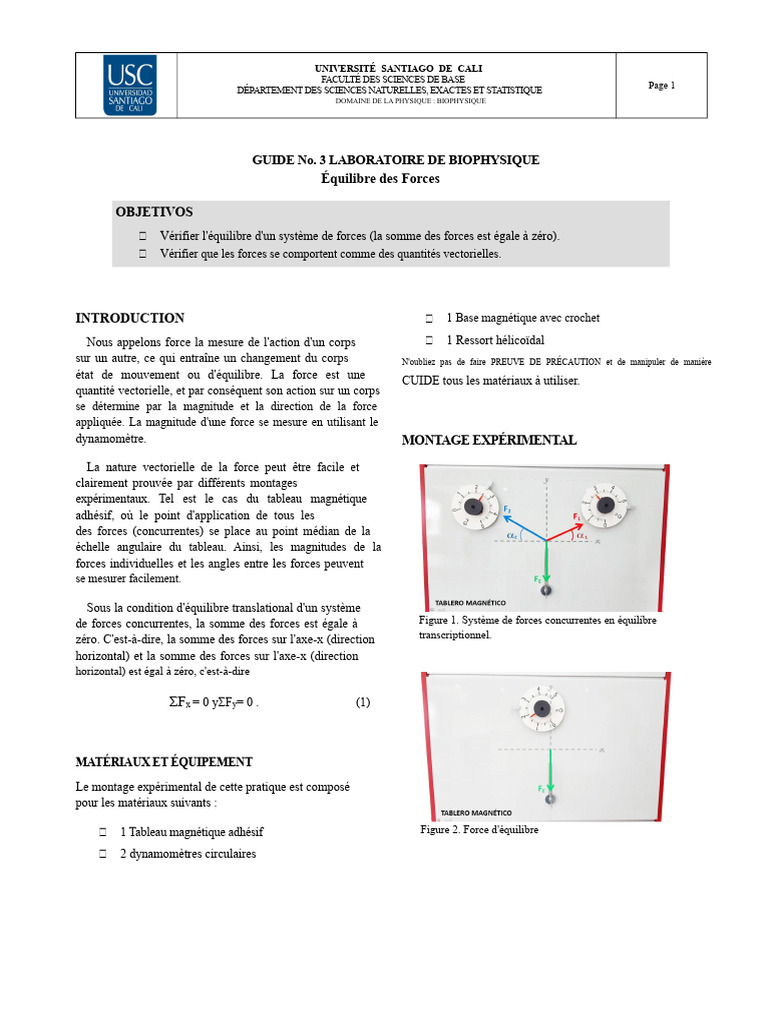 Équilibre des Forces en Biophysique | PDF | Expérience | Physique