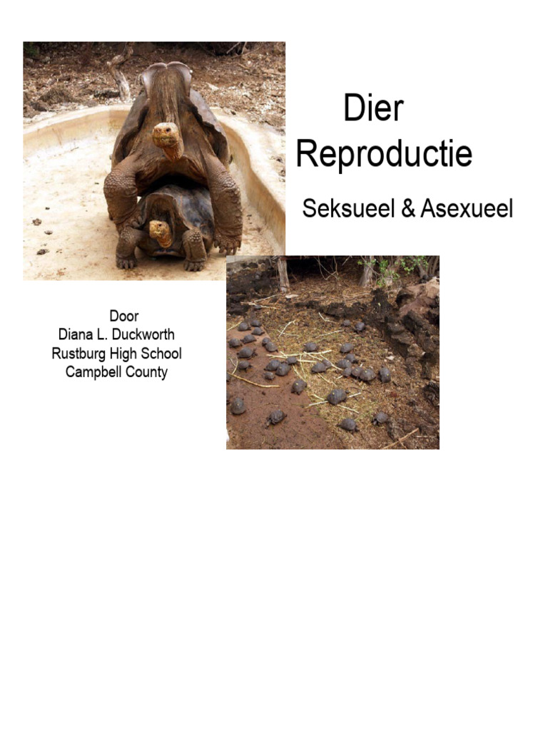 Dierlijke Voortplanting | PDF