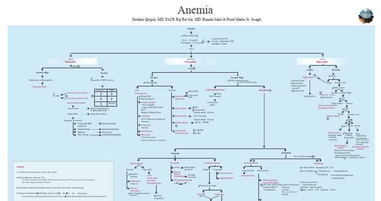 Panduan Lengkap Anemia dan Tipe-Tipenya | PDF