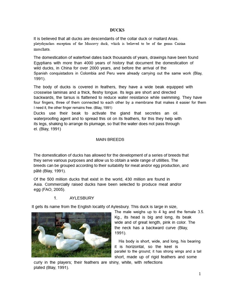 Duck Management | PDF | Ovary | Reproductive System
