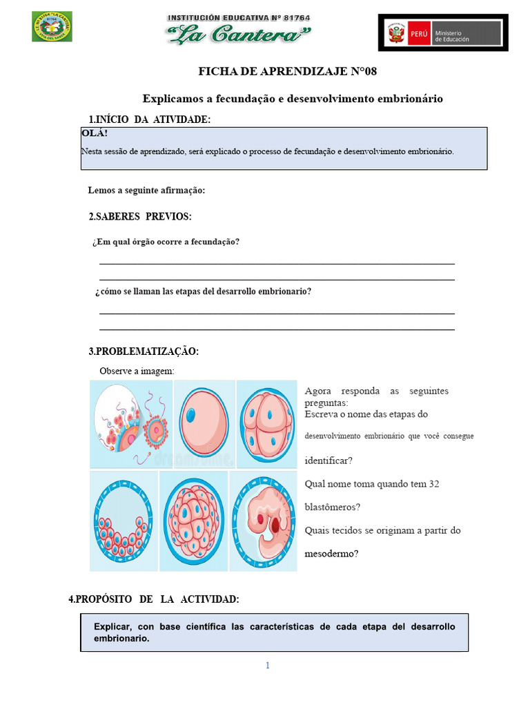 Fecundação e Desenvolvimento Embrionário | PDF | Embrião | Ovo