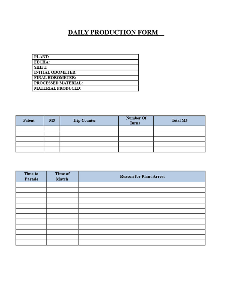 Daily Production Sheet | PDF