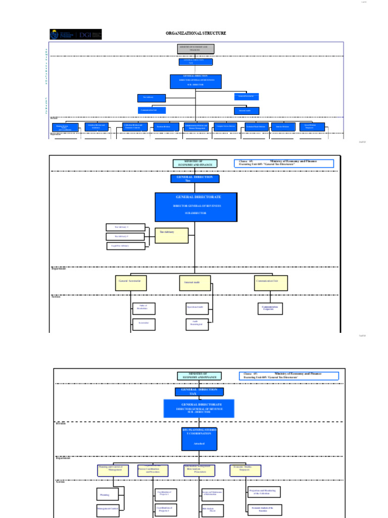 Organizational Chart + DGI | PDF | Taxes | Taxpayer