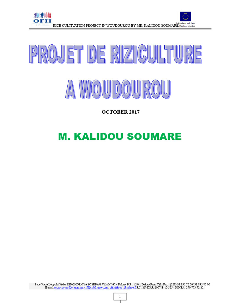 Kalidou Soumaré Rice Project | PDF | Sowing | Agriculture