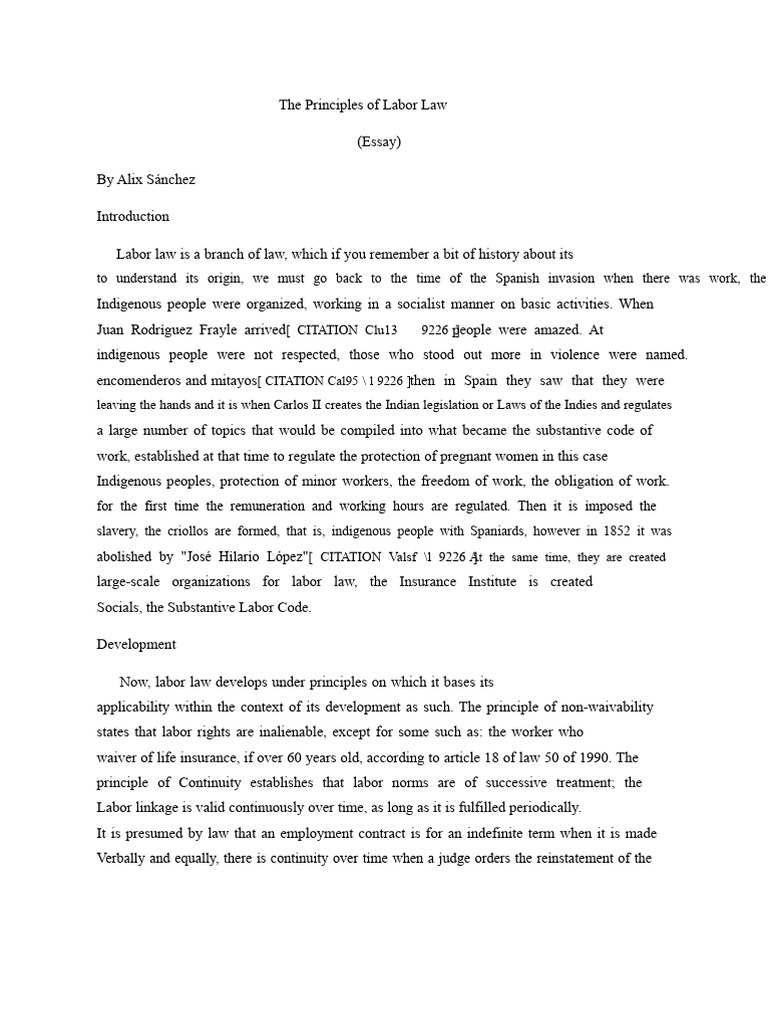 Essay On The Principles of Labor Law | PDF | Employment | Labour Law