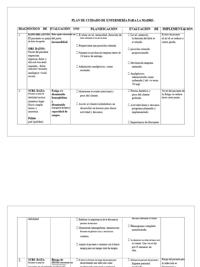 PLAN DE CUIDADO DE ENFERMERÍA obg.docx | PDF | Parto | Especialidades Medicas