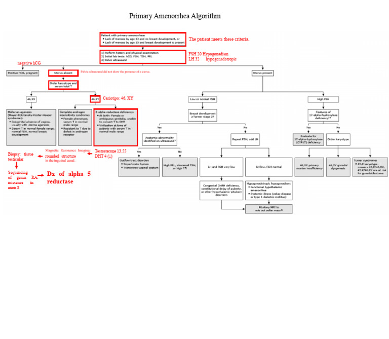 Algorithm For Primary Amenorrhea | PDF