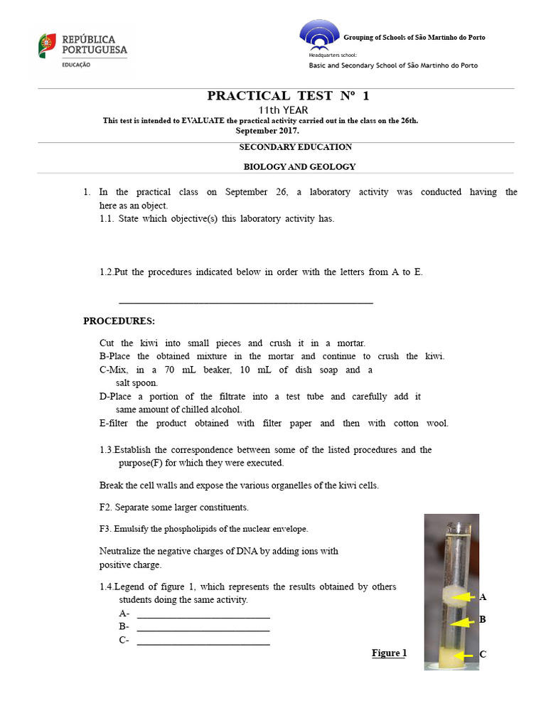 Practical Test No. 1 - DNA Extraction Kiwi | PDF | Cell (Biology) | Biology