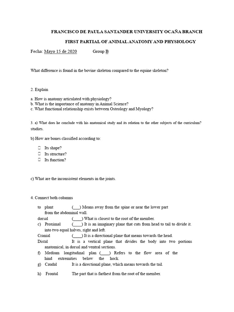 First Partial Animal Anatomy and Physiology Group B | PDF | Anatomical ...