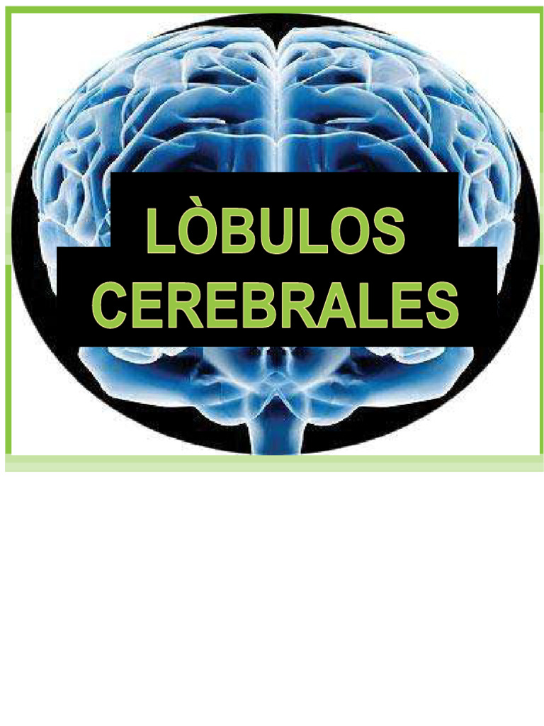 Struktur dan Fungsi Lobus Otak Manusia | PDF