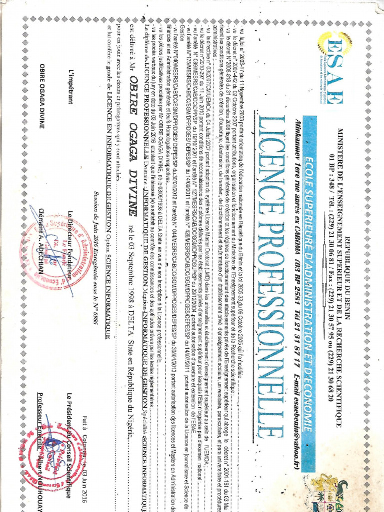 Professional License | PDF