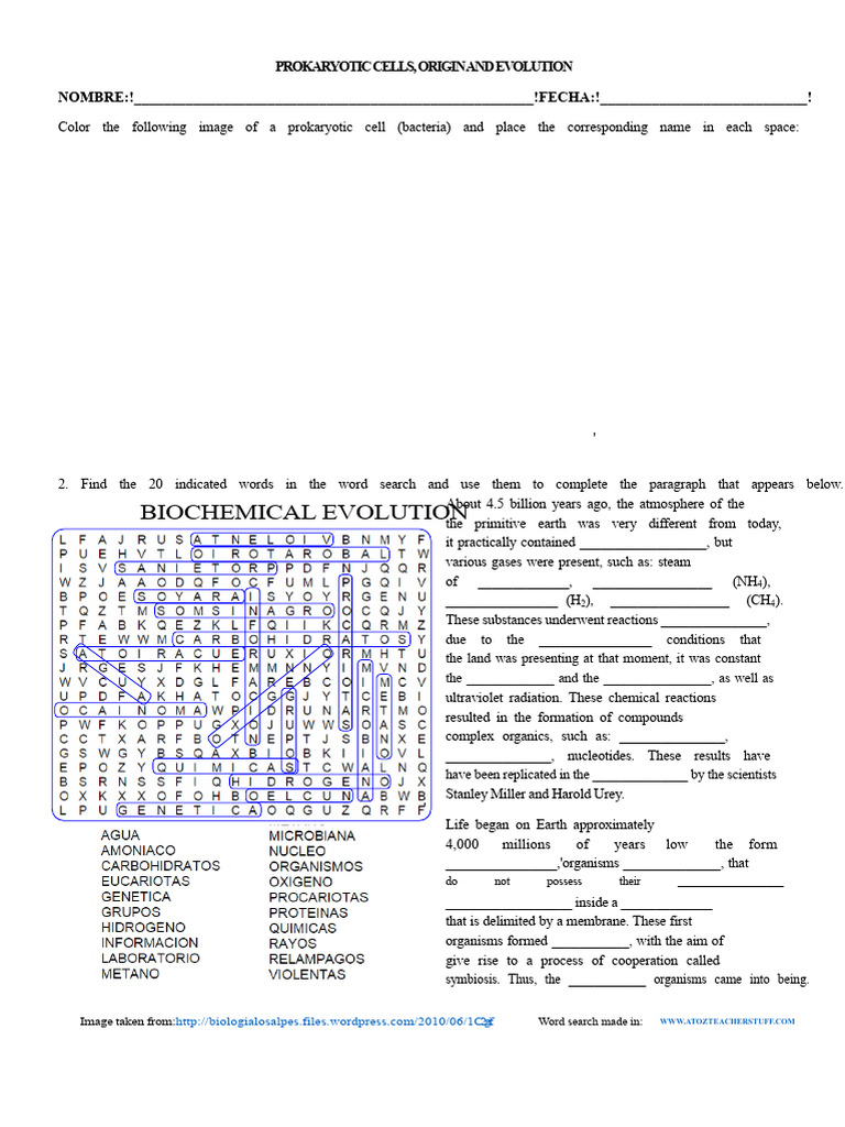 Prokaryotic Cells Origin and Evolution SOL PDF | PDF | Atmosphere ...