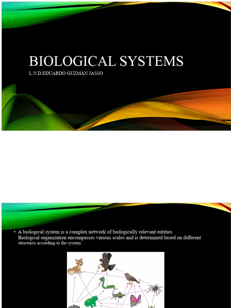 Understanding Biological Systems and Biology | PDF | Systems Biology ...